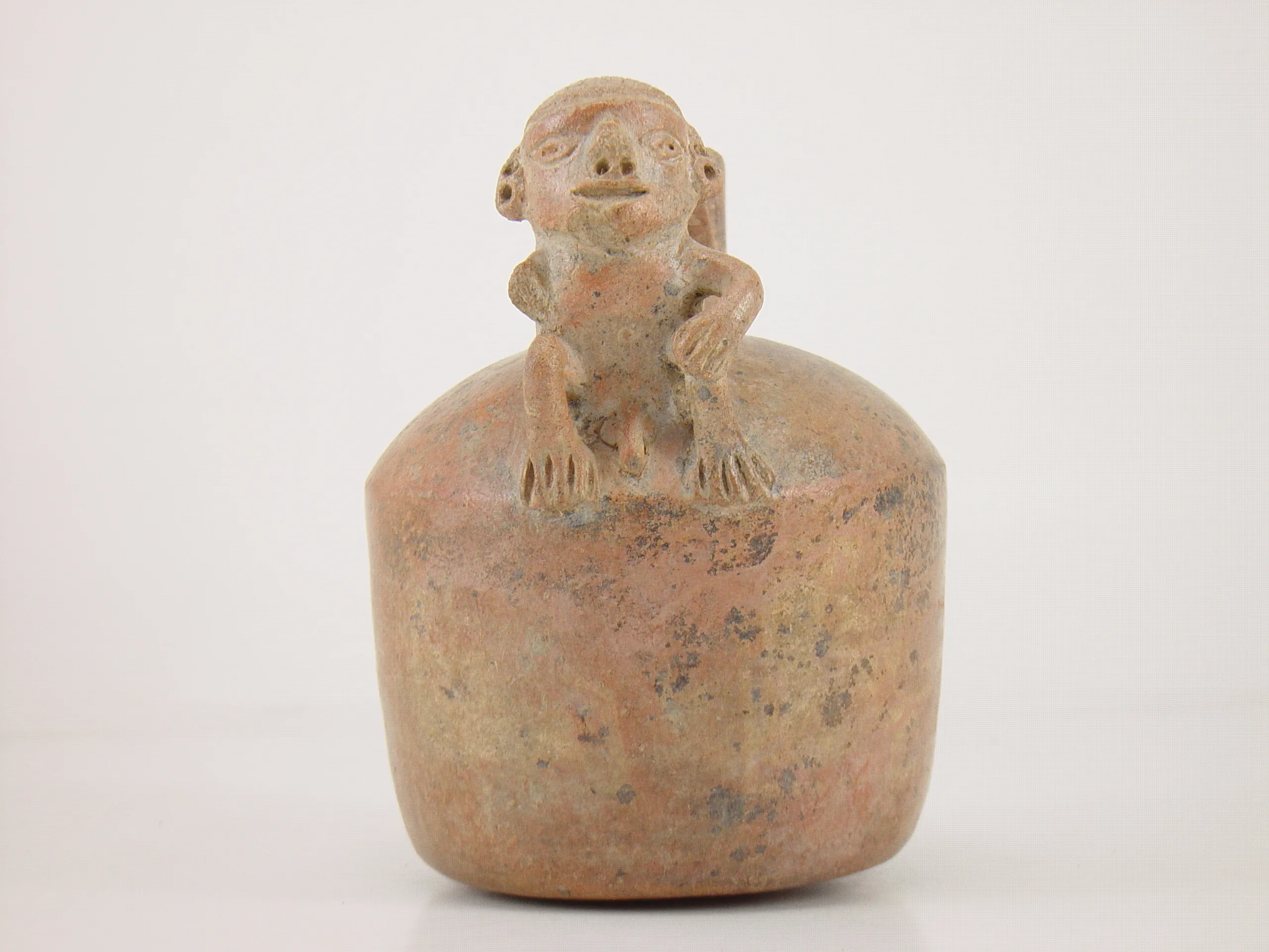 Catálogo Online - Detalle